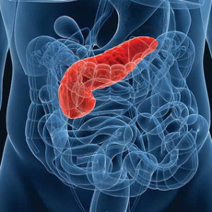 Панкреатит в практике терапевта: Как не пропустить? - МедПросвита